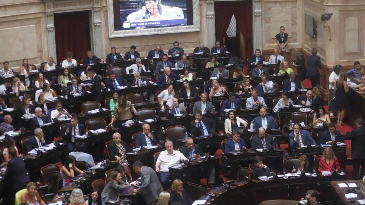 Ley ómnibus: los siete puntos clave que pueden trabar el debate en ...