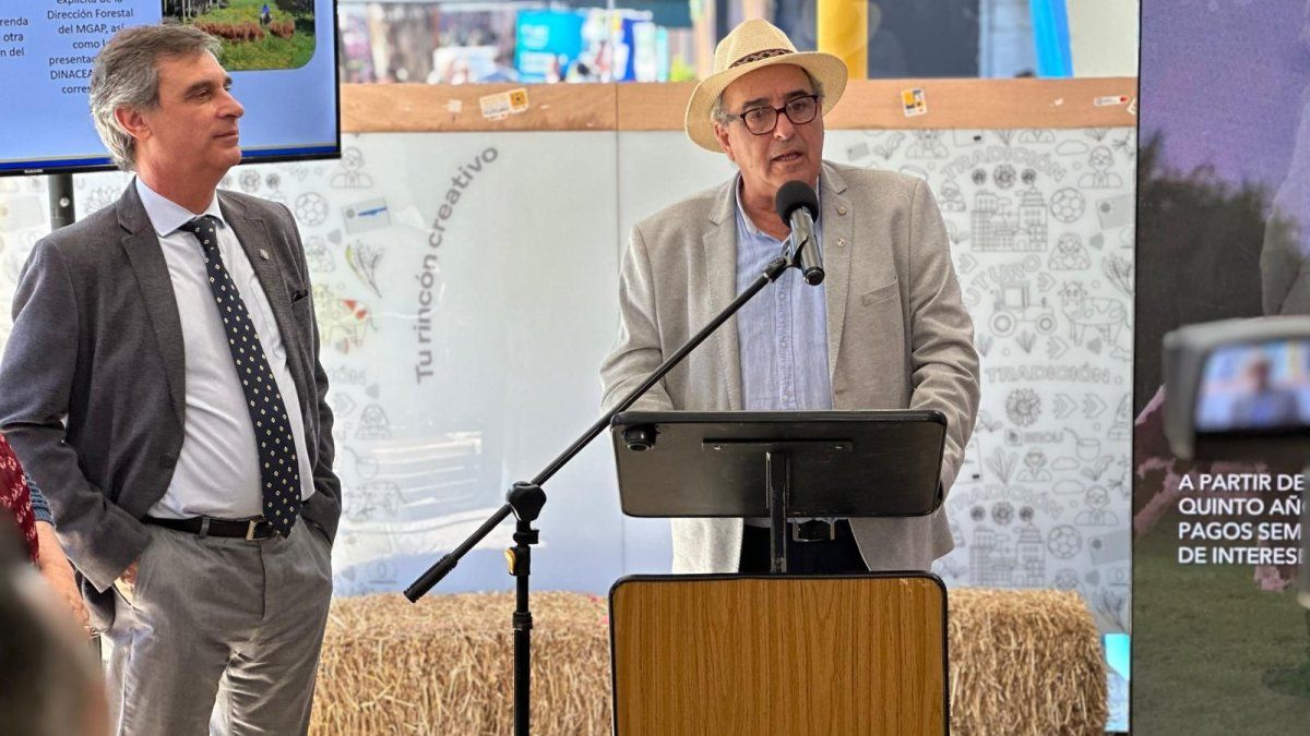 Alfredo Fratti relativizó el atraso cambiario: No lo están reclamando ...