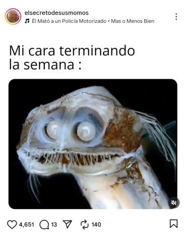 Pez telescopio: los mejores memes del espécimen que se viralizó tras el ...