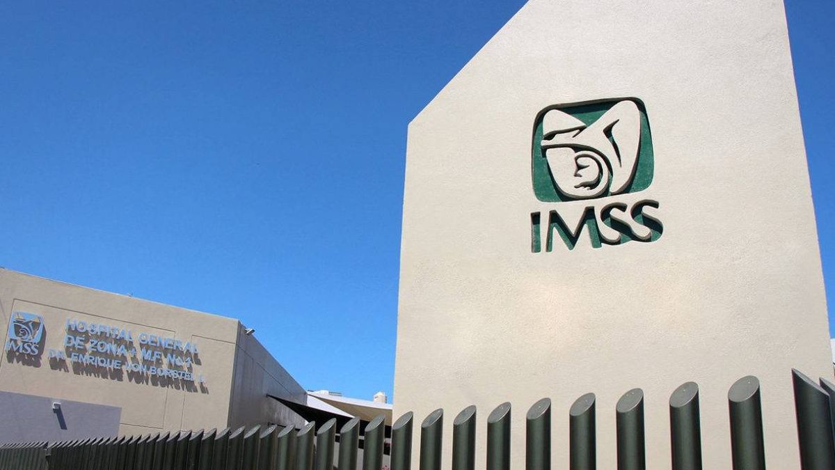 El IMSS difunde un AVISO URGENTE a MILES DE TRABAJADORES Y ADULTOS ...