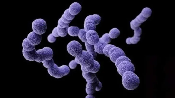 Streptococcus en Argentina: factores de riesgo y medidas de prevención