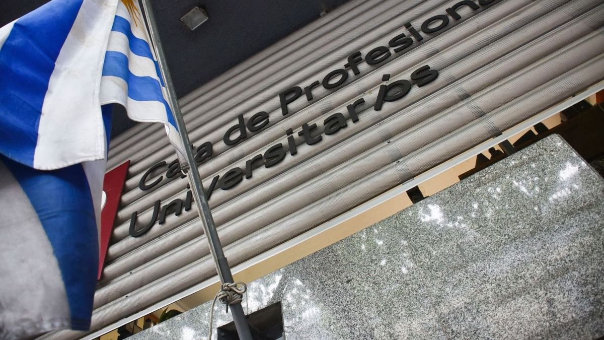 Las claves de la crisis de la Caja de Profesionales