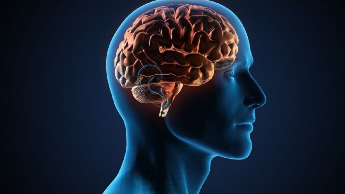 El cerebro presta menos atención a la voz de su madre a partir de los ...