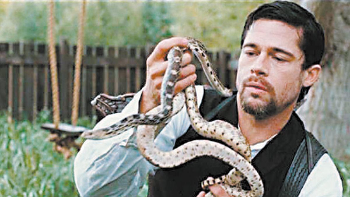 El cine en cable y on line más destacado