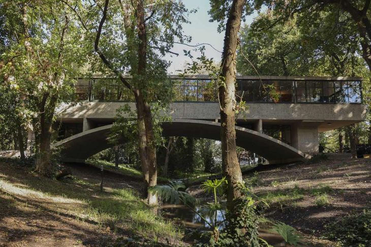 Polémica en Mar del Plata: la directora de Casa del Puente registró la marca a su nombre y ...