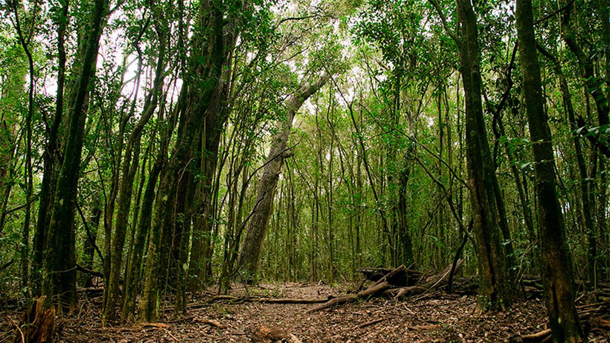 La reserva natural poco conocida ideal para hacer senderismo y conectar ...