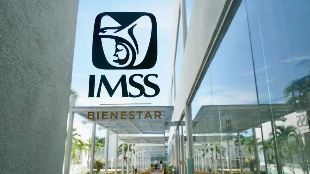 IMSS: cómo cobrar tu pensión de Ley 73 o Ley 97 si vives en Estados ...