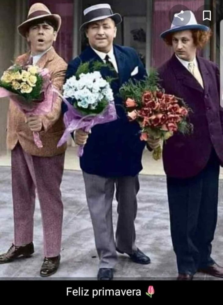 Primavera: estallaron los memes por la llegada de la nueva estación