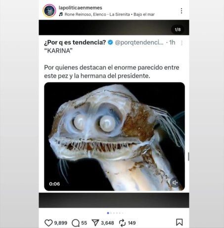 Pez telescopio: los mejores memes del espécimen que se viralizó tras el ...