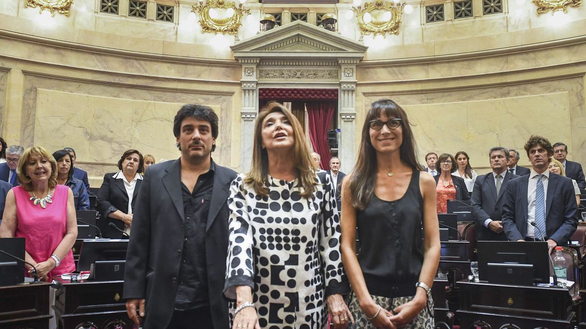Senado: Marisa Graham juró como defensora del Niño