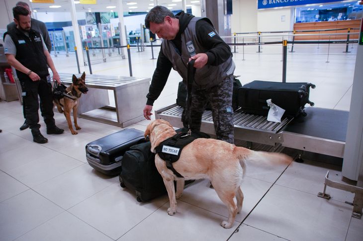 Cómo son los nuevos escaners que controlarán valijas en Ezeiza
