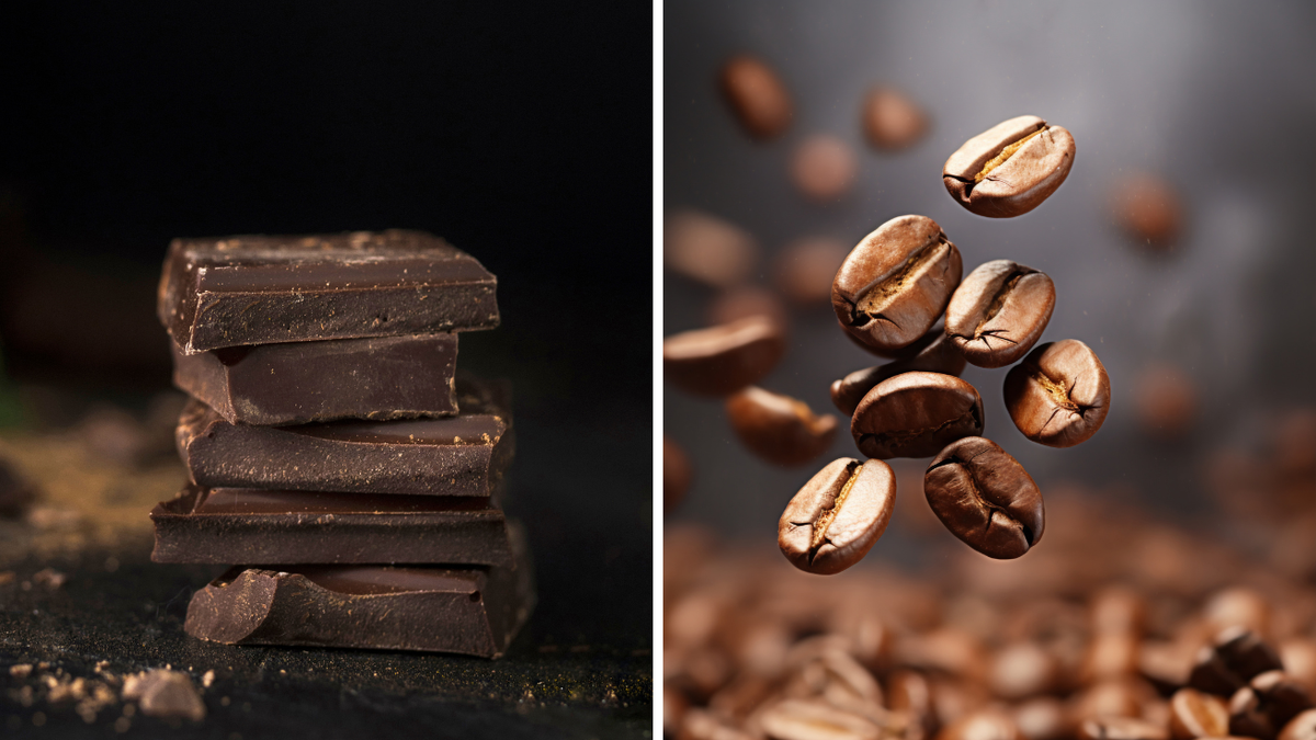 Claudia Sheinbaum lanza CAFÉ Y CHOCOLATE DEL BIENESTAR: dónde se ...