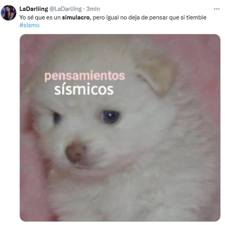 Los MEJORES MEMES por el Simulacro Nacional del 19 de septiembre 2025