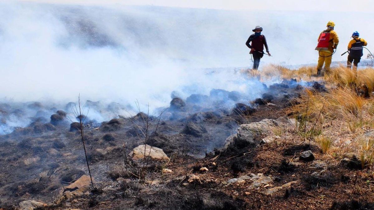 Córdoba: contienen incendios forestales pero continúa vigente el alerta ...