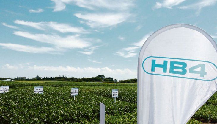 Bioceres apuesta a la inteligencia artificial para el desarrollo de ...