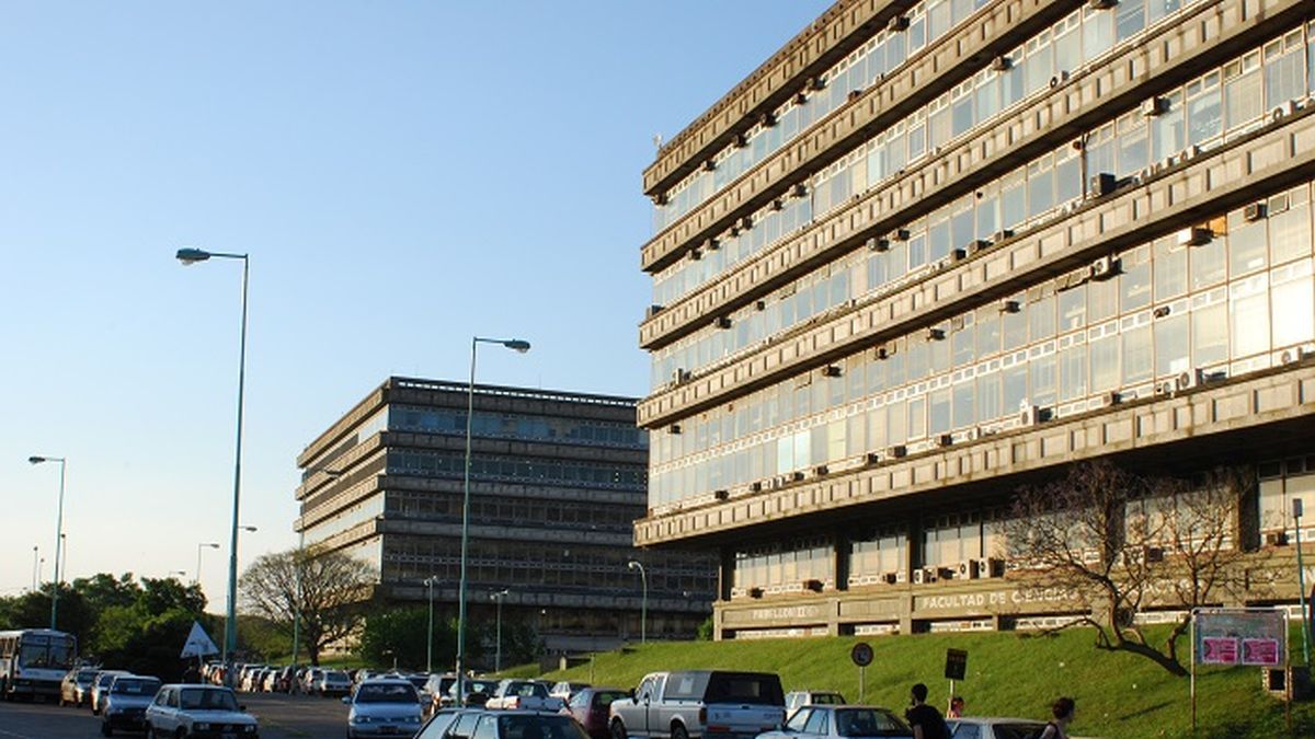 La UBA construirá una nueva sede del Ciclo Básico Común