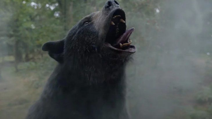 Primer tráiler de la película basada en el caso real de un oso que ...