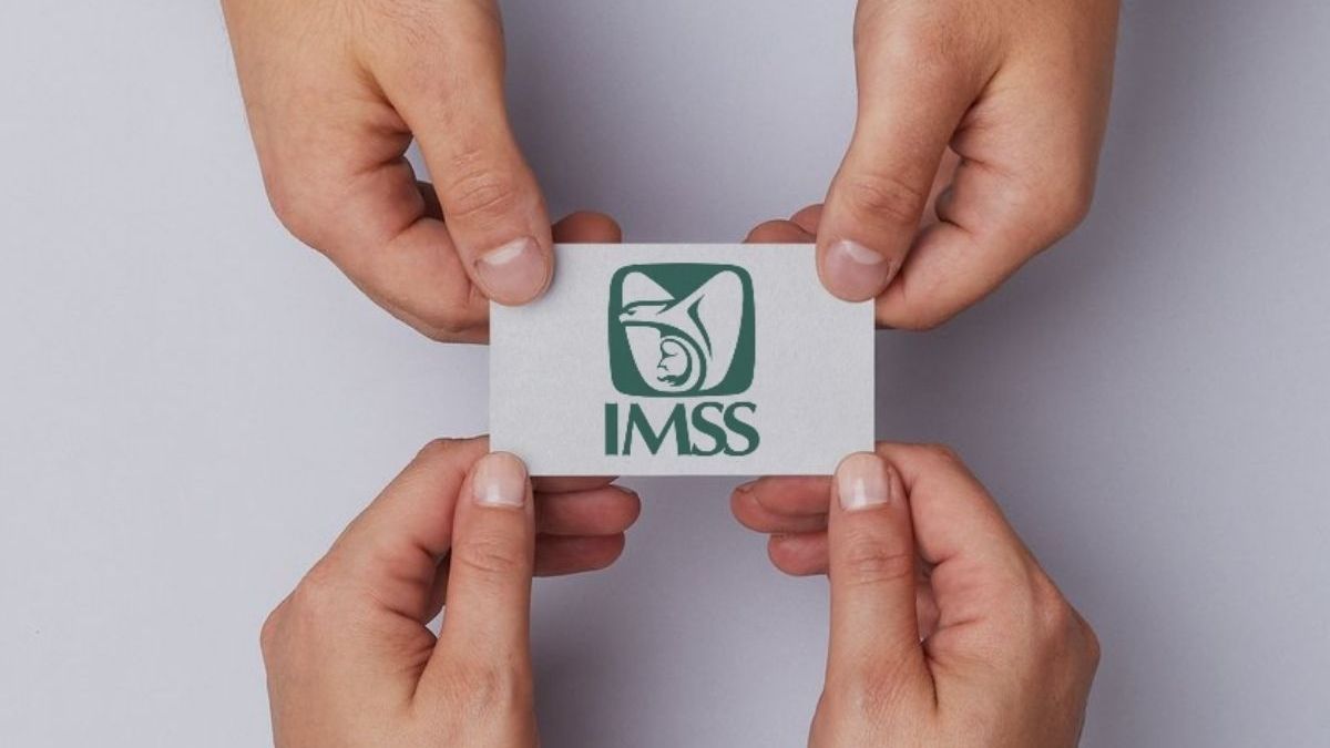 El SECRETO del IMSS para que freelancers y trabajadores independientes ...