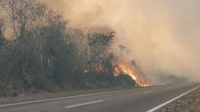 Incendios En Jujuy 4 000 Hectáreas Arrasadas Por El Fuego