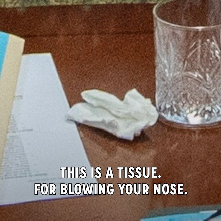 Francia tuvo que desmentir un video viral con el que se acusaba a ...