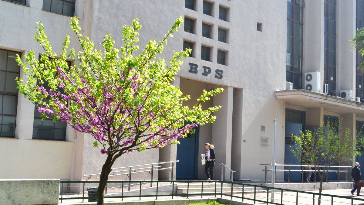 Cómo consultar la fecha y el monto a cobrar en marzo con el BPS: la ...