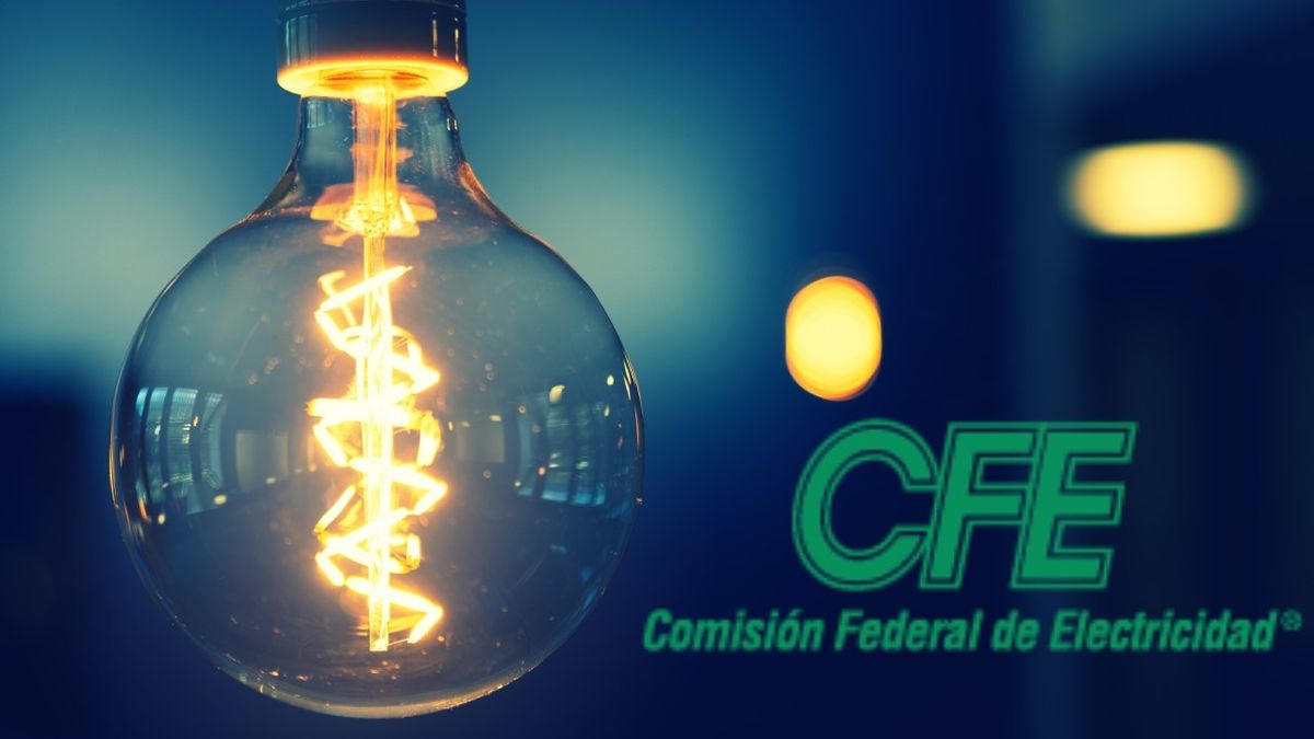 CFE: los aparatos electrónicos que debes desenchufar por las noches ...