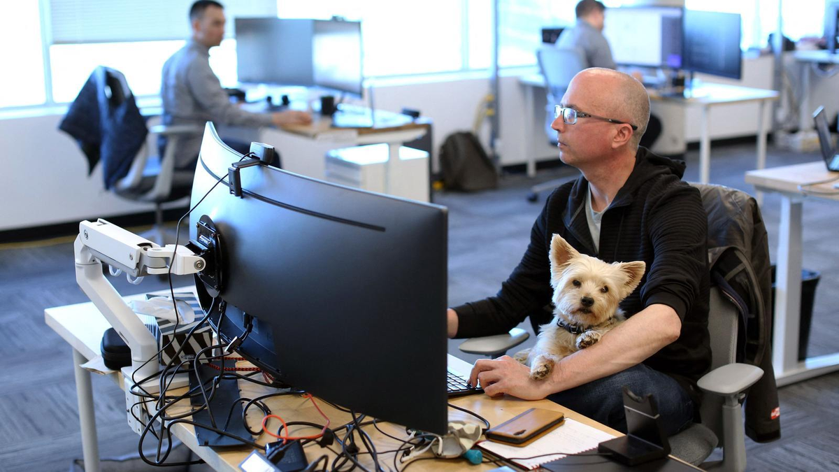 Humanimals, la nueva tendencia que se instaló en las empresas argentinas