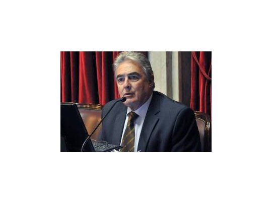 Bahía Blanca: robo en casa del senador Linares