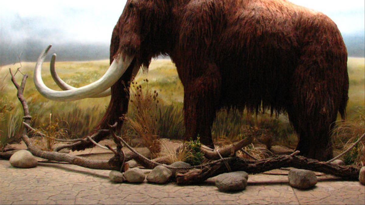 Científico busca revivir a un mamut