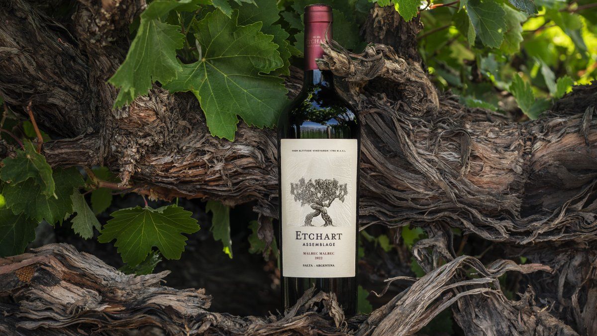 Etchart Assemblage, la expresión más pura del terroir cafayateño en un malbec de alta gama
