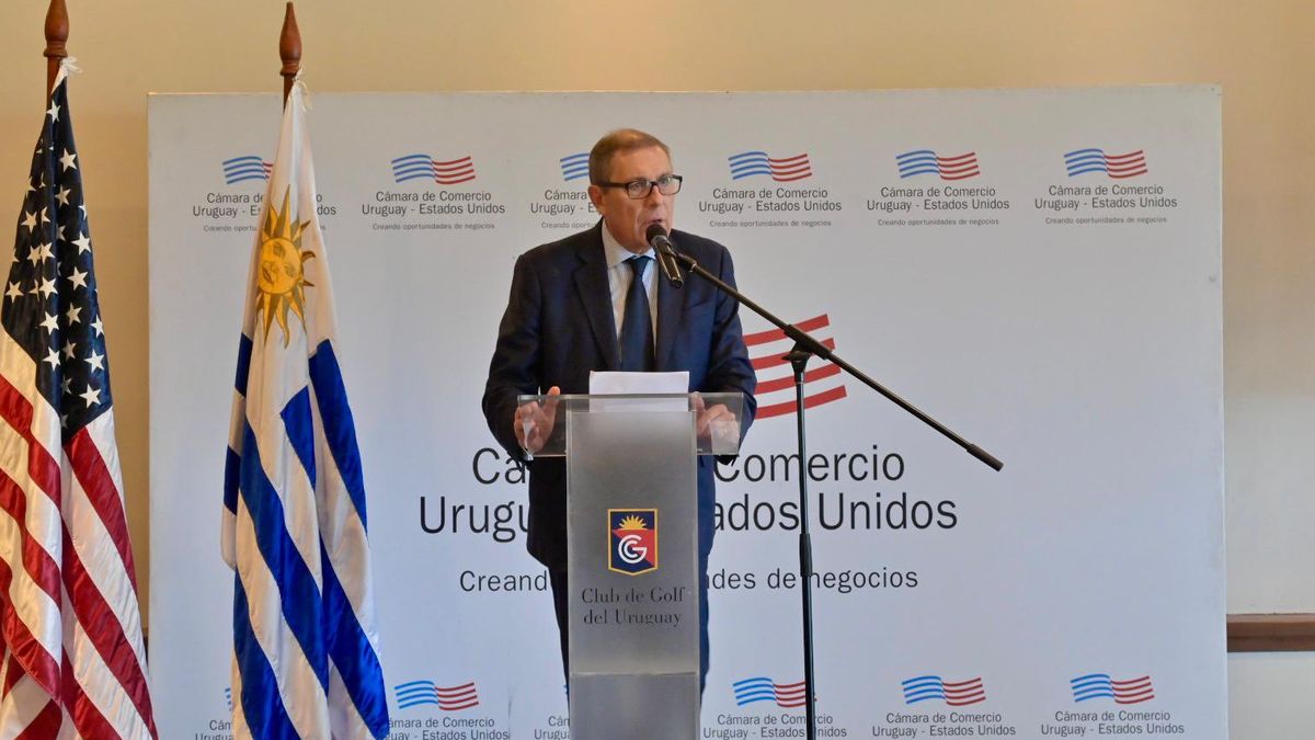 Gabriel Oddone indicó que no hay espacio para aumentar impuestos ...