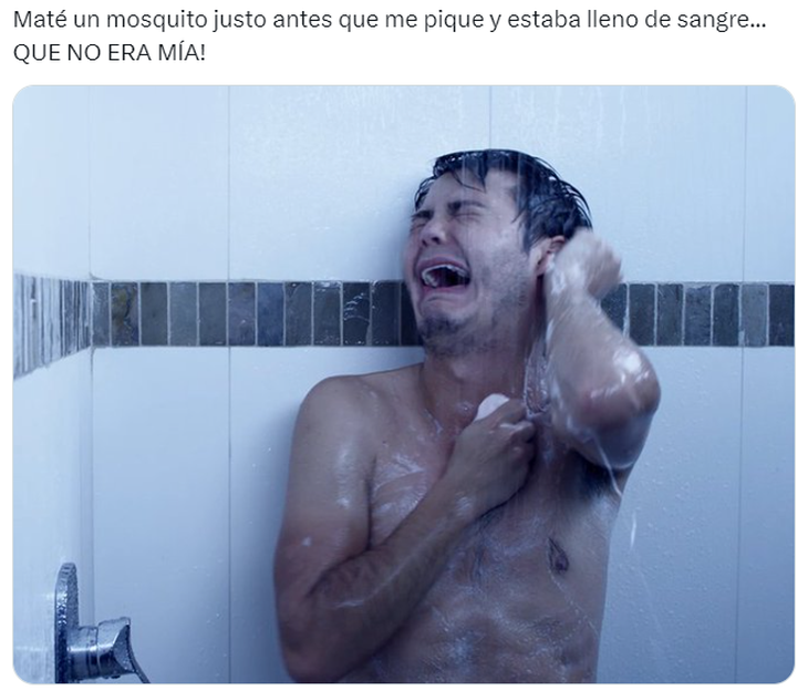 Los mejores memes de la invasión de mosquitos en el AMBA