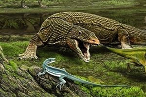 Bautizan a un lagarto extinto como Obamadon
