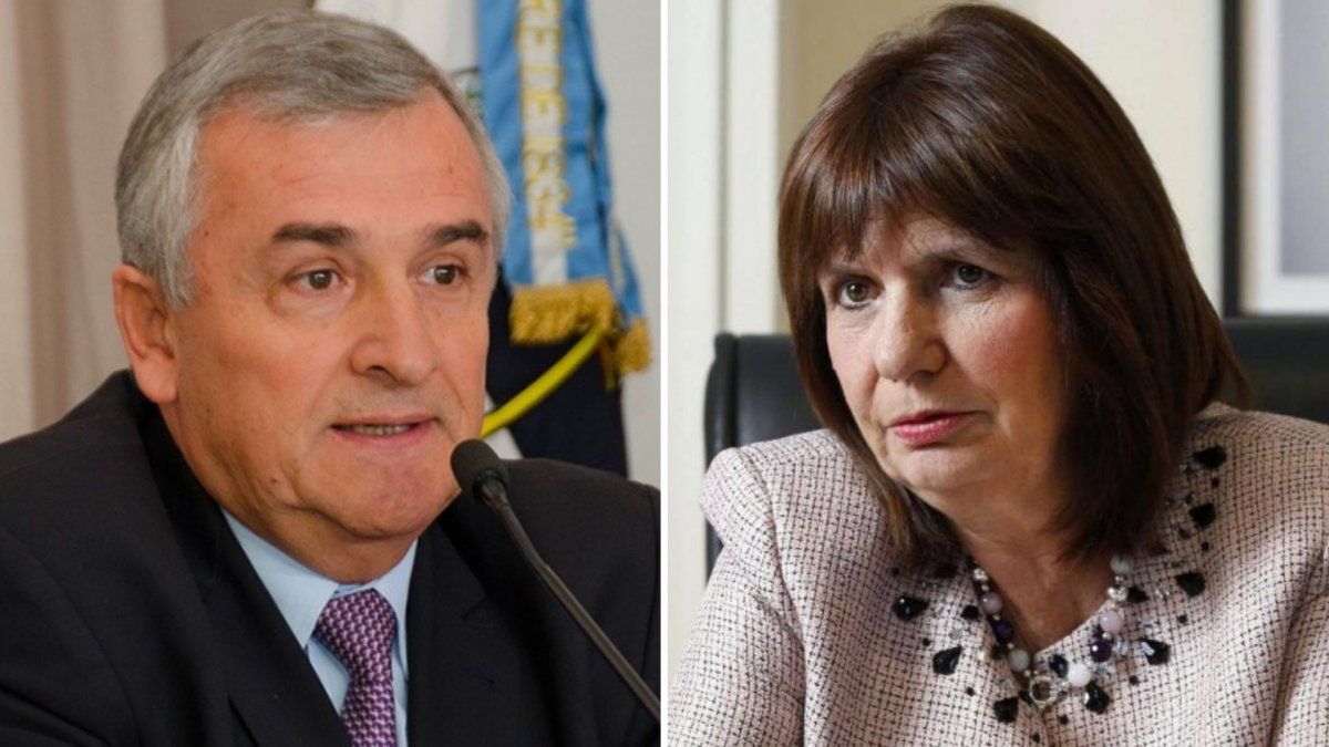 Gerardo Morales: ¿Para qué quiere Bullrich hacer alianza con Milei, para privatizar la educación ...