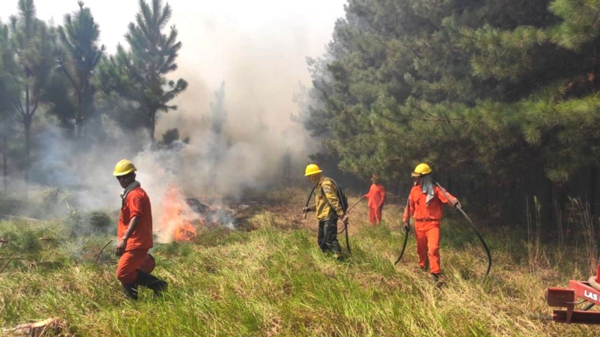 Siguen Sin Control Los Incendios Forestales En Corrientes La Provincia