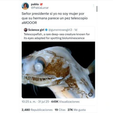 Pez telescopio: los mejores memes del espécimen que se viralizó tras el ...