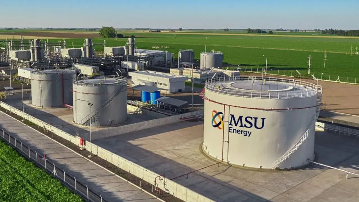 MSU Energy sale al mercado local con una emisión de Obligaciones ...