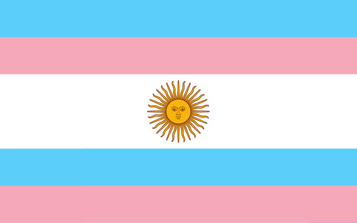 Día de la Memoria Trans: miles de personas marcharon al Congreso