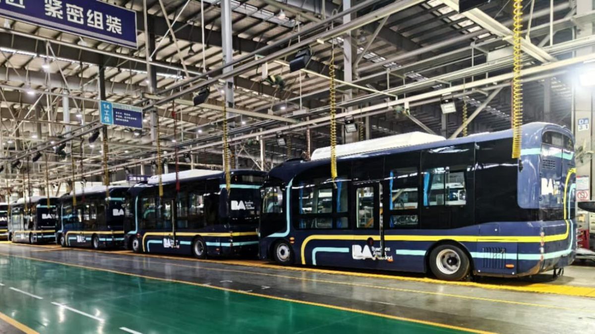 Ciudad lanzó un nuevo medio de trasporte: qué es el TramBUS, cuál será ...