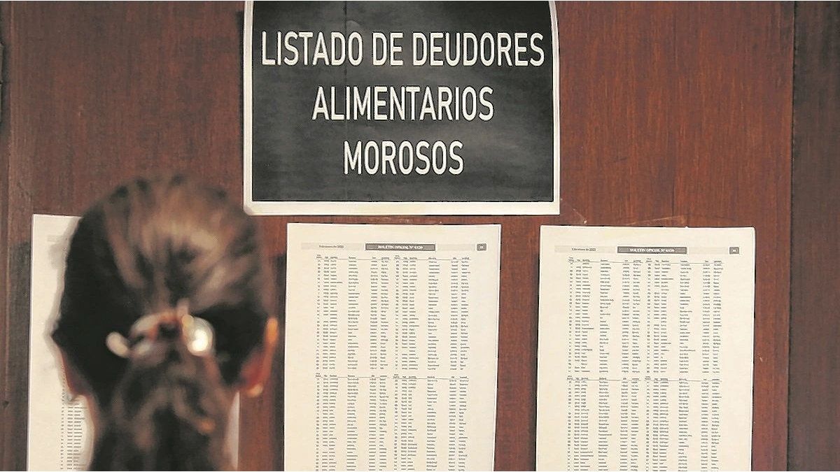 Qué es y para qué sirve el Registro de Deudores Alimentarios