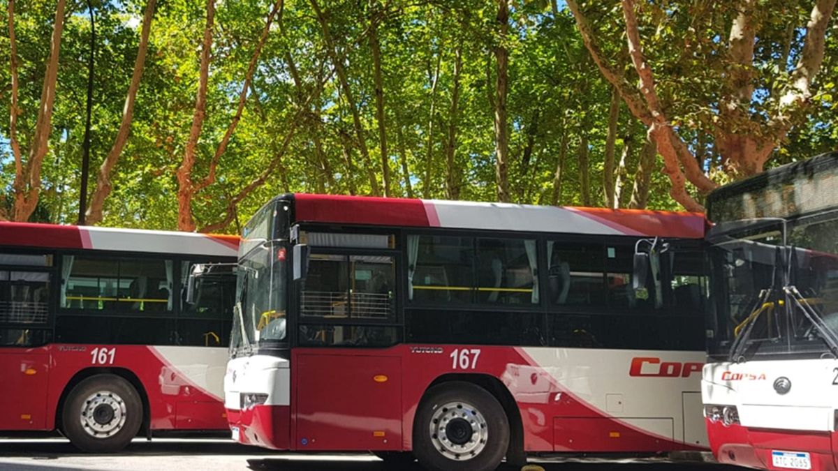 Nueva crisis en Copsa: inició un paro hasta nuevo aviso ante salarios ...
