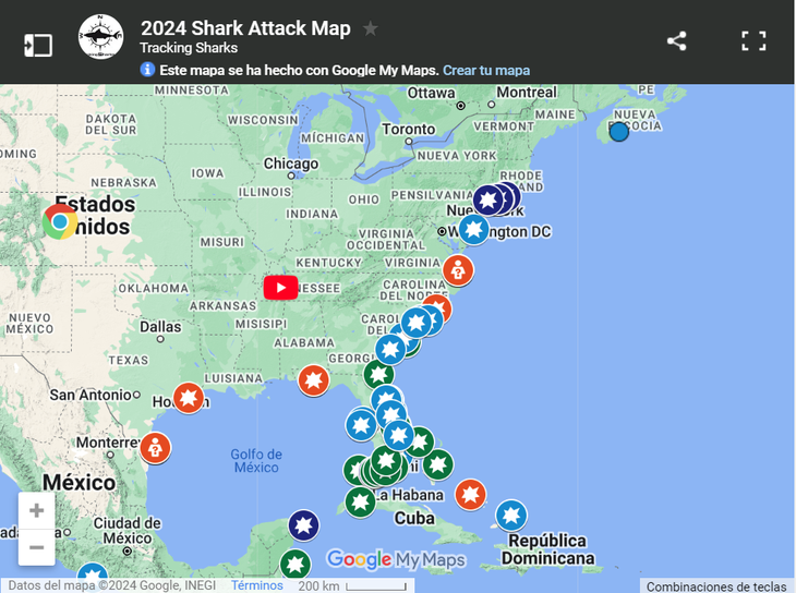 Advierten que aumentan los casos de ataques de tiburones en Estados Unidos