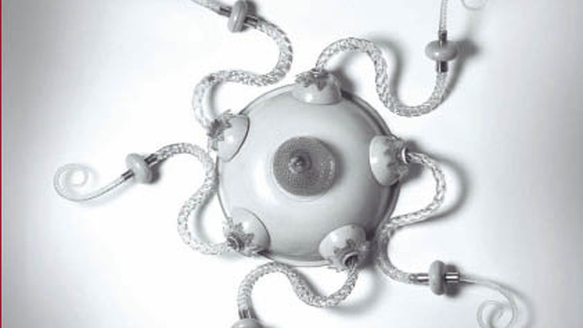 El Rojas as a refuge in the life of a group of artists - 24 Hours World