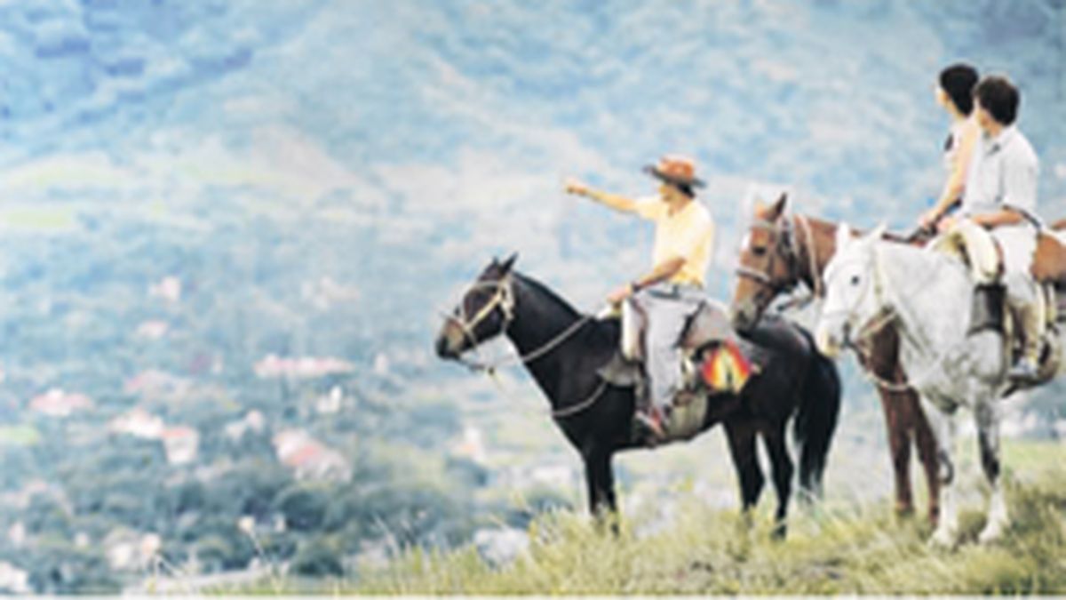 Aventuras en una selva de yungas