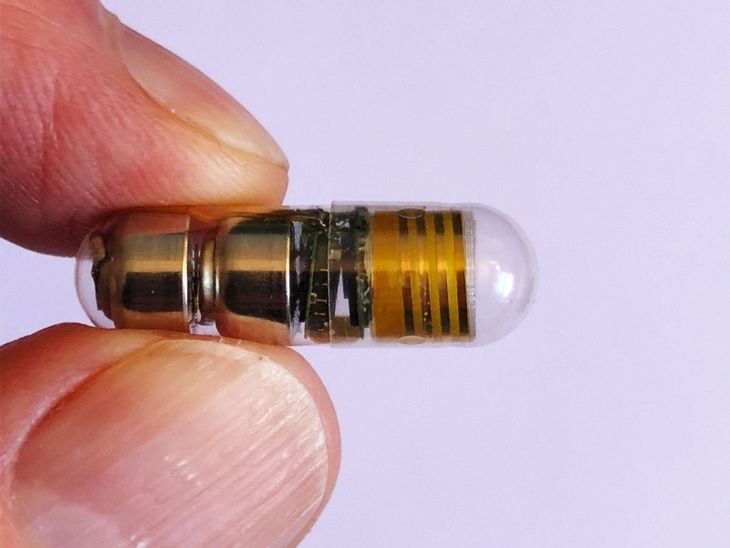 Pastilla digital: cómo funciona la cápsula que controla los signos vitales