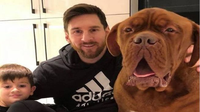 Alarma en la Selección: se enfermó el perro de Messi