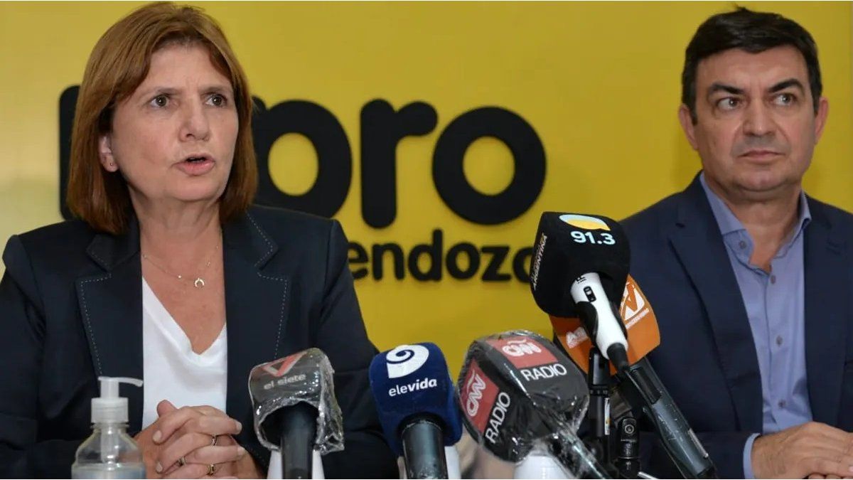 Luego de la ruptura de Juntos, el PRO nacional intervino el partido de ...