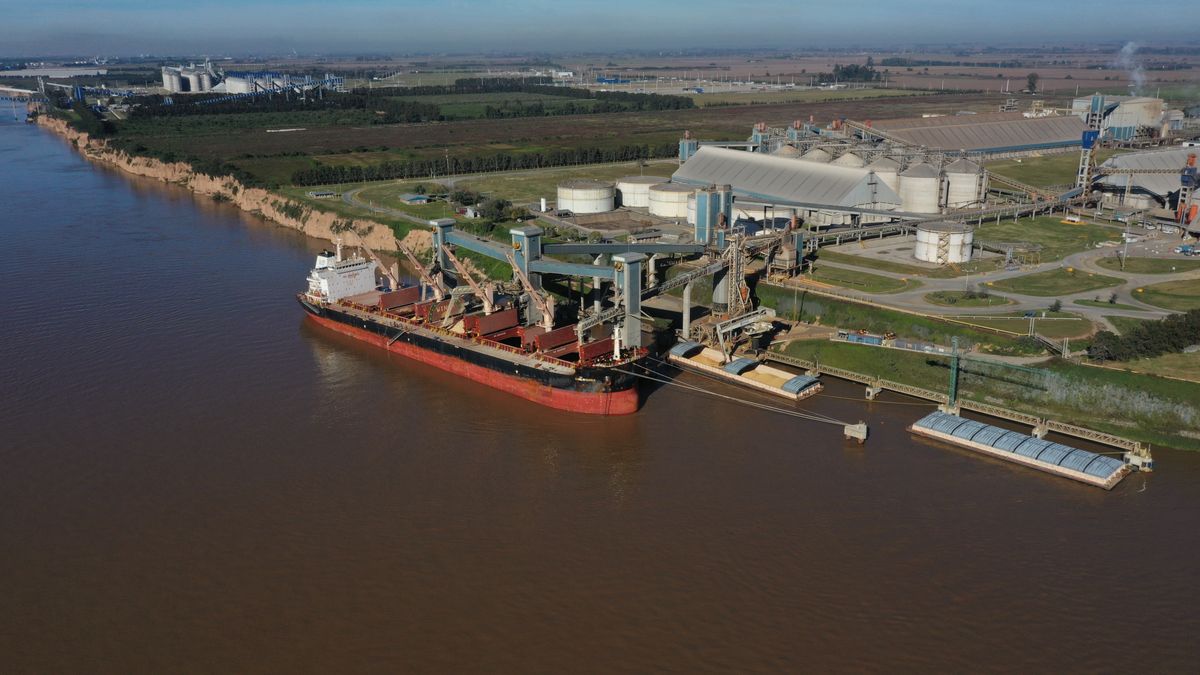 Cofco concretó la primera exportación desde Argentina de harina de soja ...