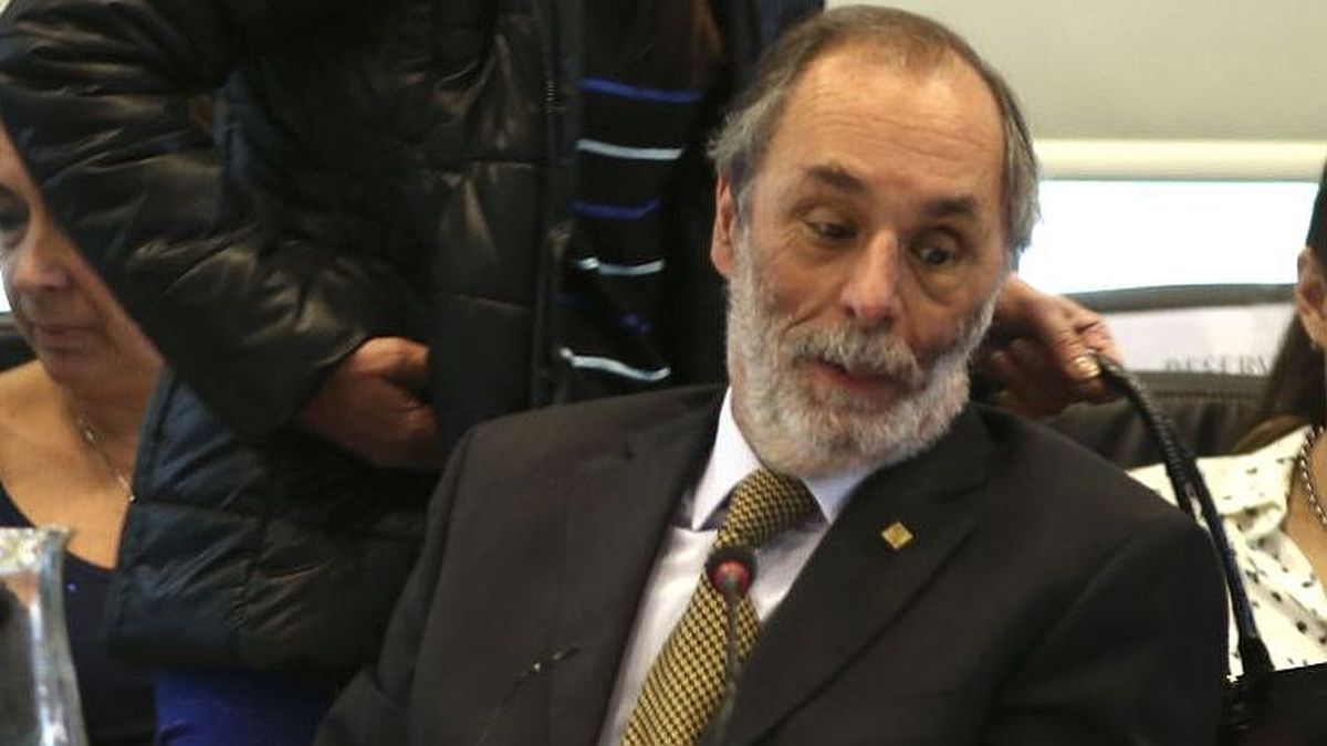 Tonelli: En principio, soy partidario de que Cristina asuma su banca en ...