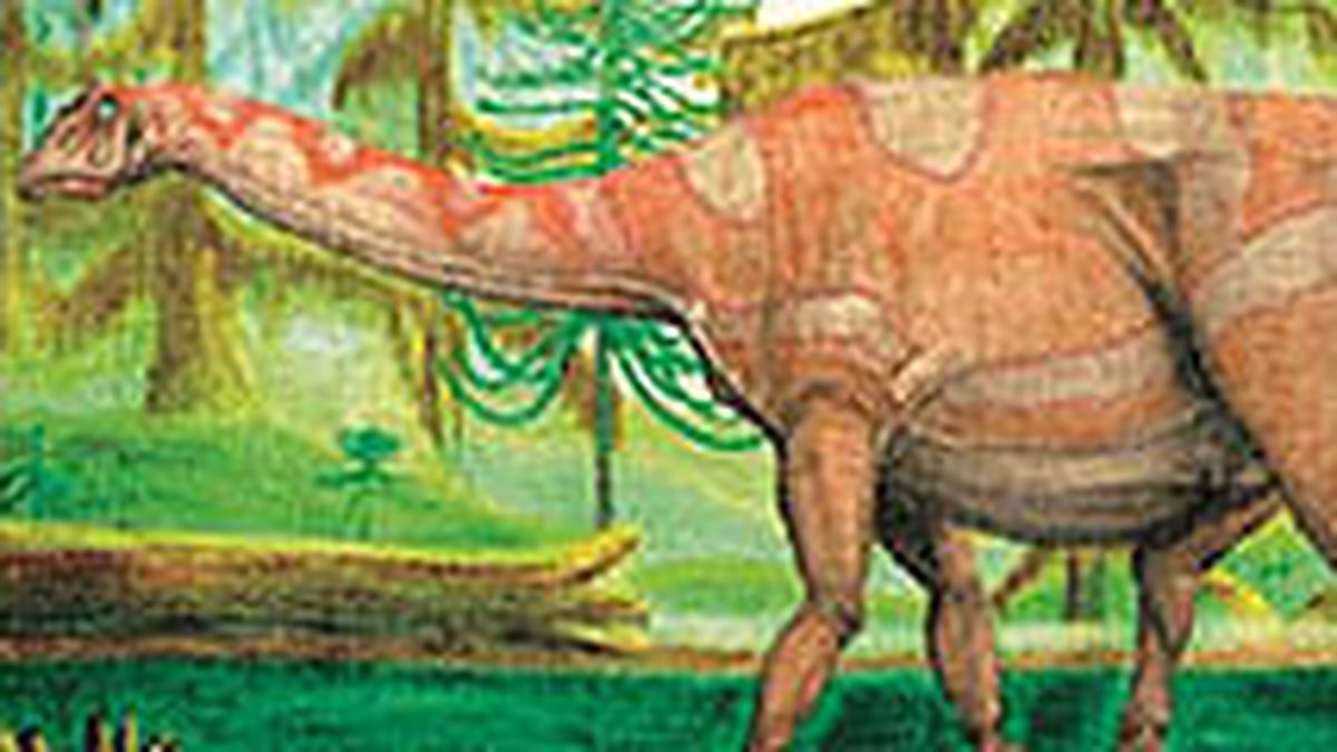 Hallan restos de un titanosaurio de 71 millones de años